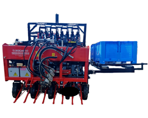 COSECHADORA-CORTADORA 4 HILOS CON DESCARGA A PALOTS Y MESA DE LIMPIEZA ...